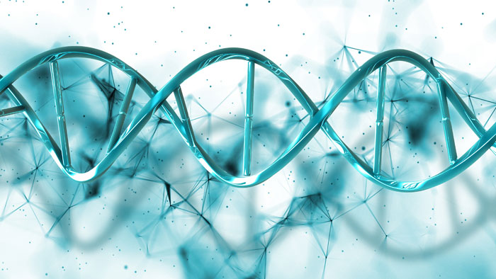 Precision Medicine Laboratory in musculoskeletal - DuranLab